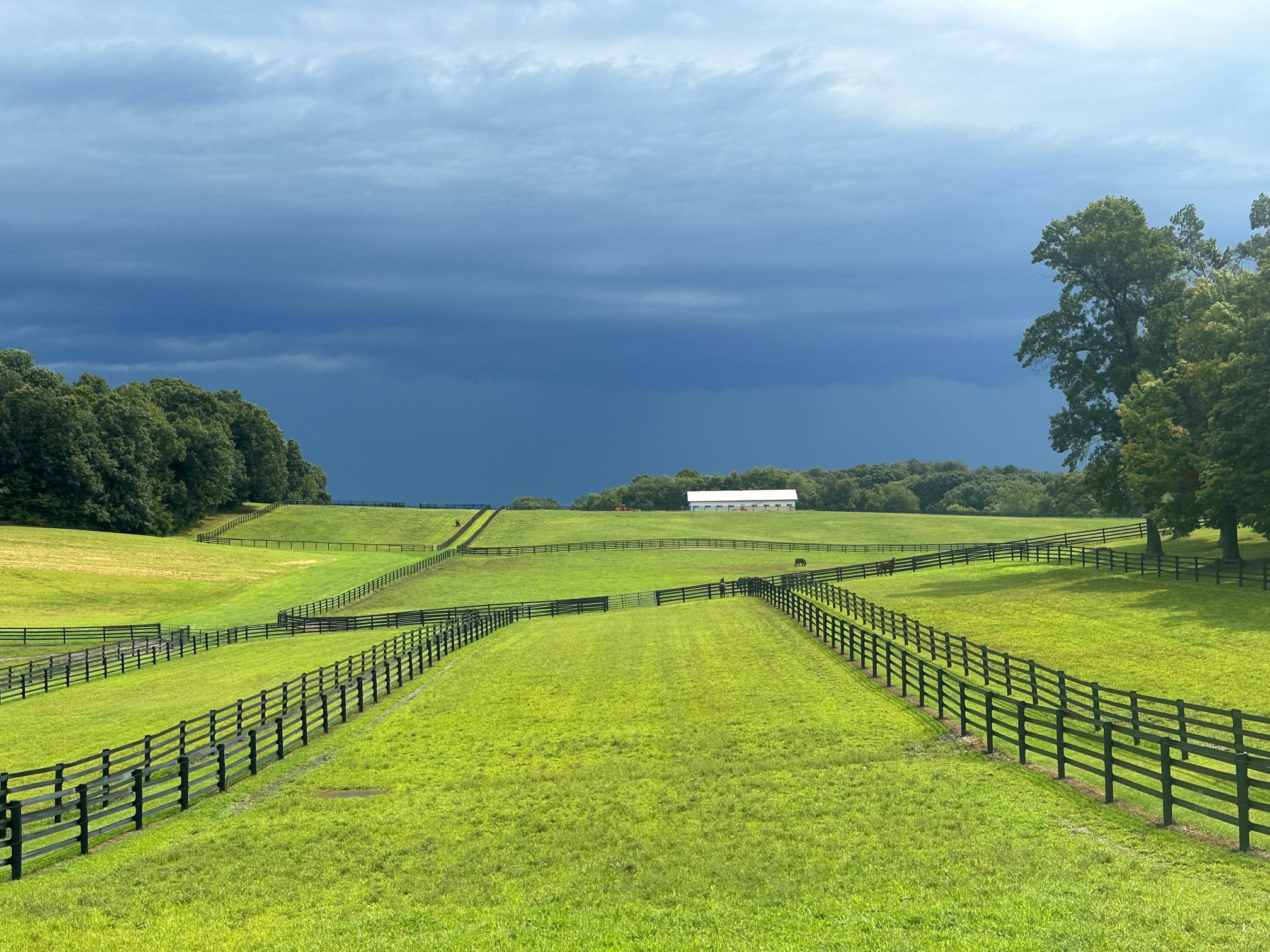Winterwood Farm – Ohio Standardbred Breeding Farm